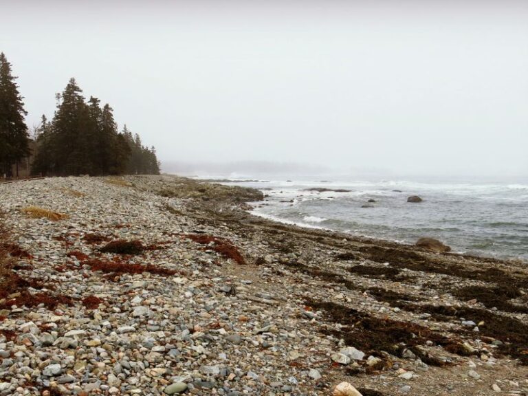 Acadia National Park Weather by Season and Month