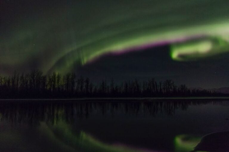 Alaska in July and August [Weather, Outfits, Activities, Tips]