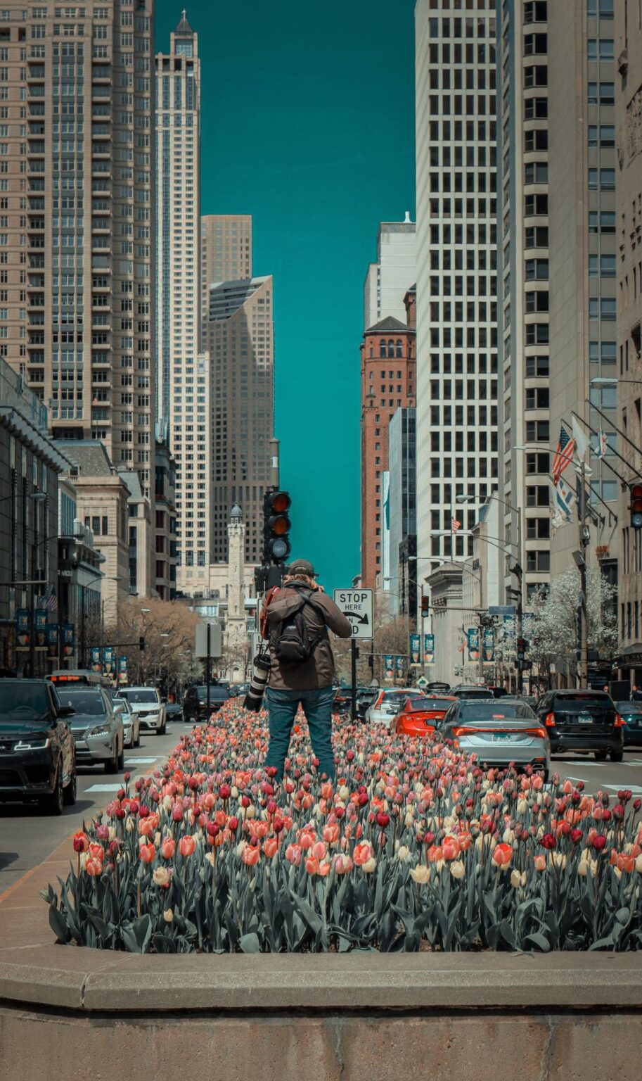 Visit Chicago in April [Weather, What to Wear, Things to Do]
