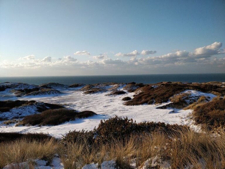 Best Time to Visit Cornwall 2023 [Local Expert Tips]