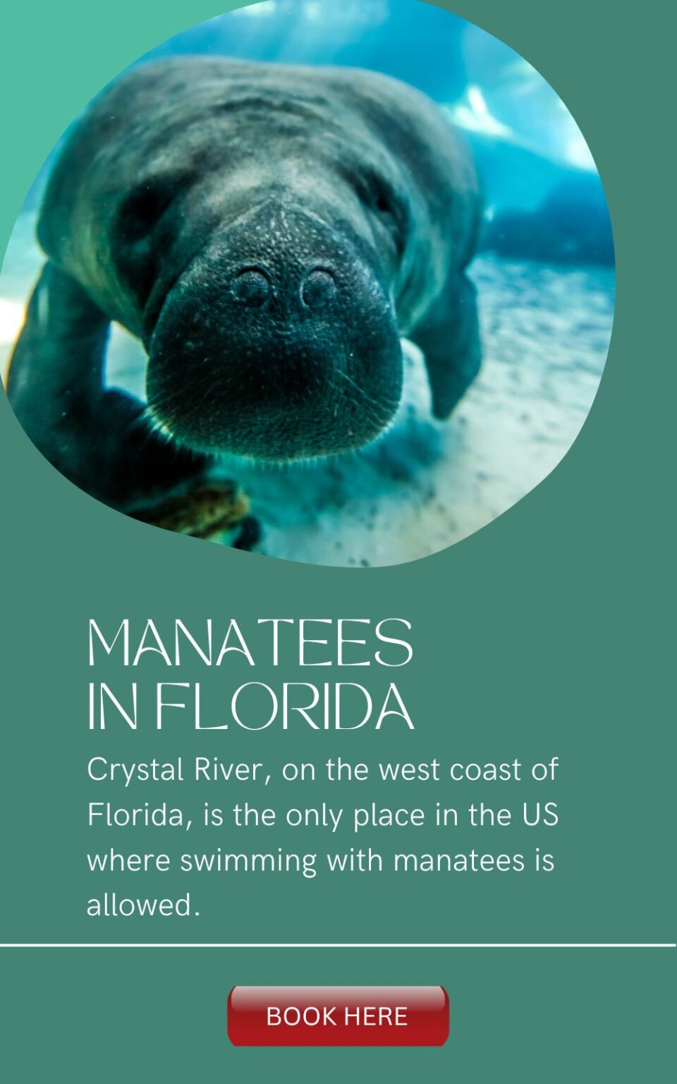 Florida in February [Weather, Crowds, What to Wear, Local Tips]