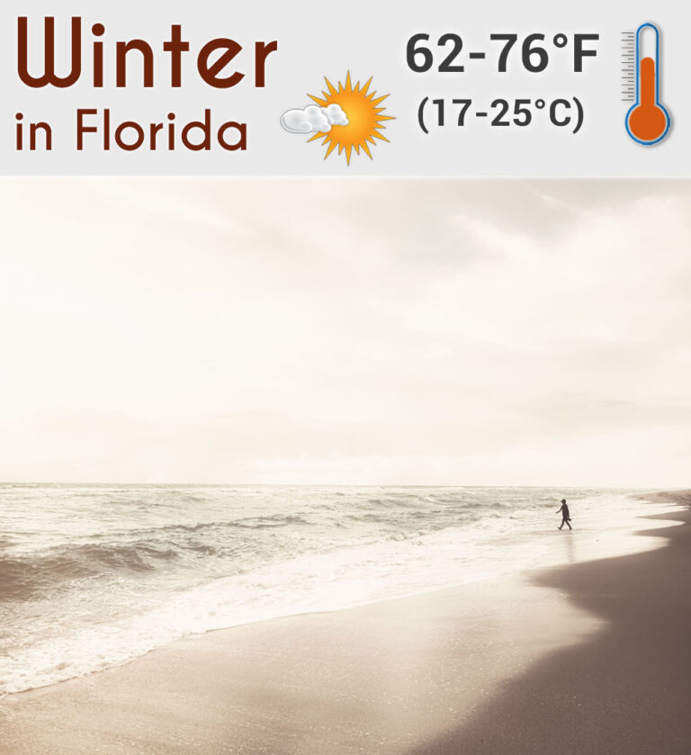 Winter in Florida [Weather, What to Wear, Outfits, Crowds, Tips]