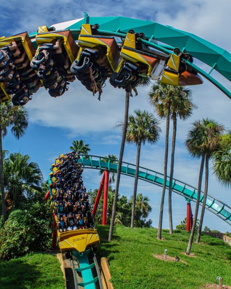 Florida in June [Weather, Things to Do, What to Wear, Crowds]