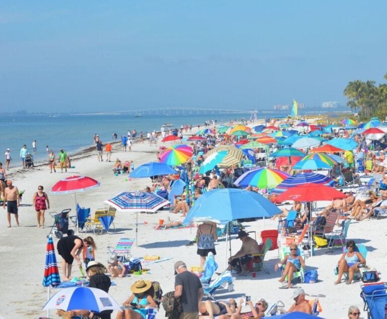 Florida in February [Weather, Crowds, What to Wear, Local Tips]