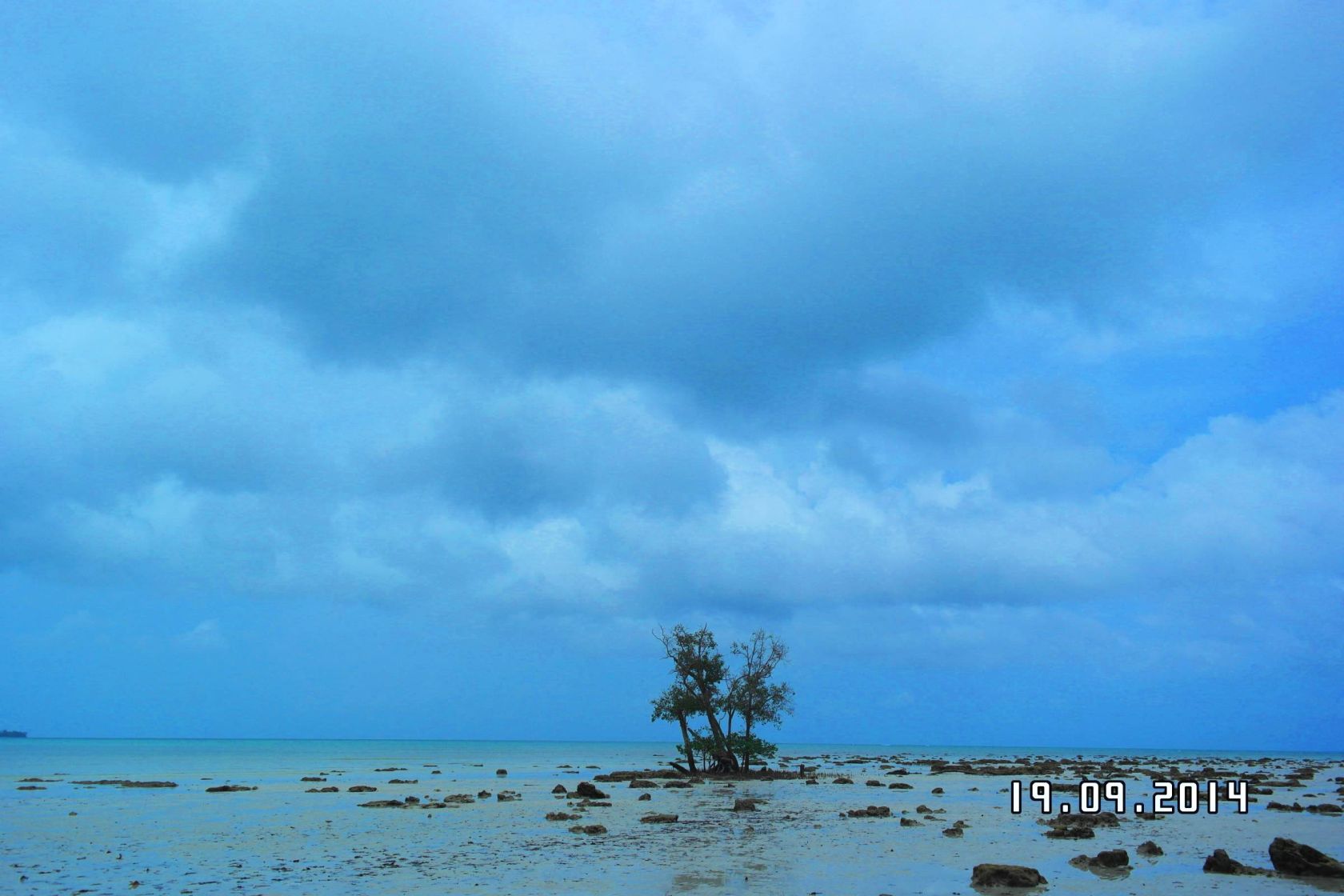 Havelock Island - Best Time to Visit