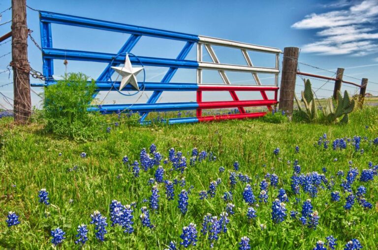 Houston in March [Weather, What to Wear, Things to Do]