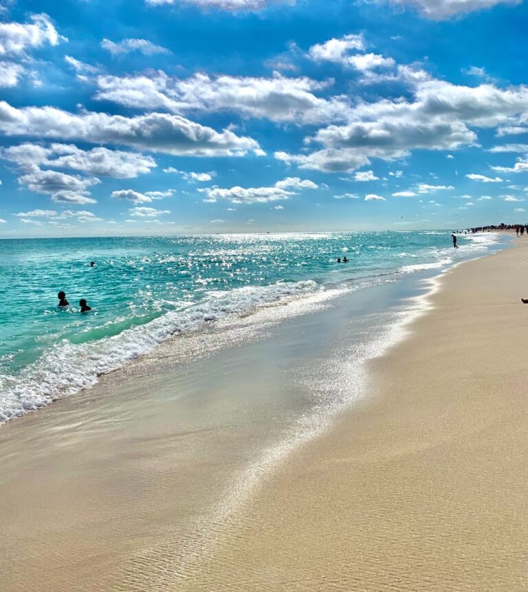 Miami in Winter [Weather, Tips, What to Wear, Things to Do]