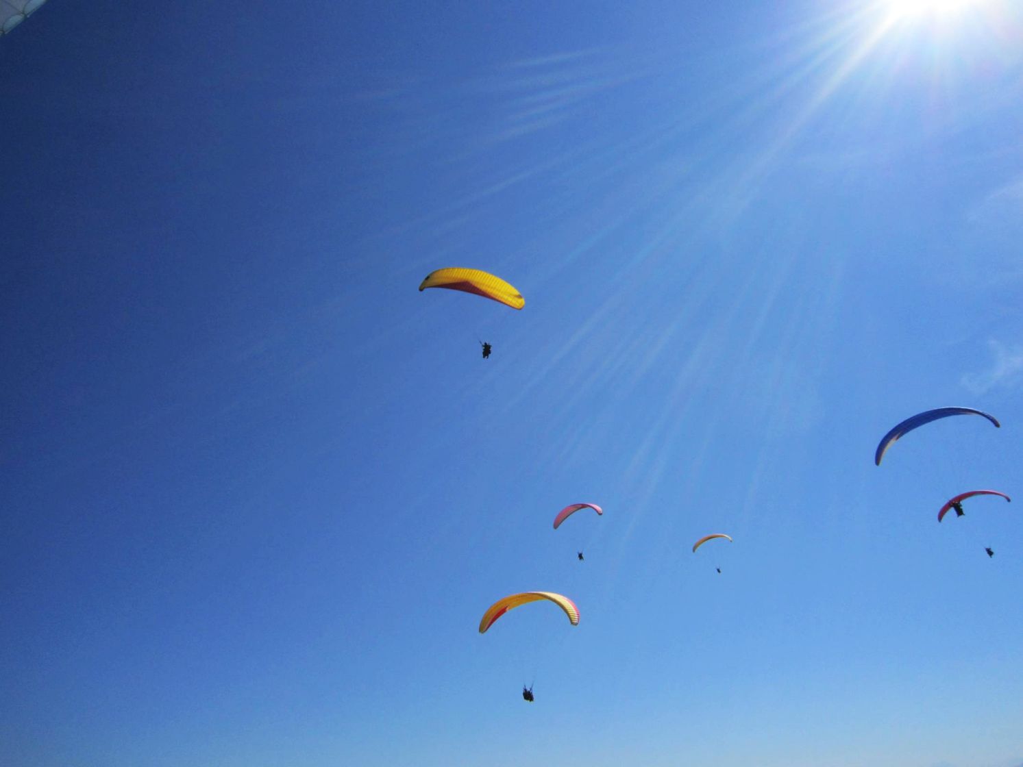 Pokhara Paragliding | Best Time | Tips