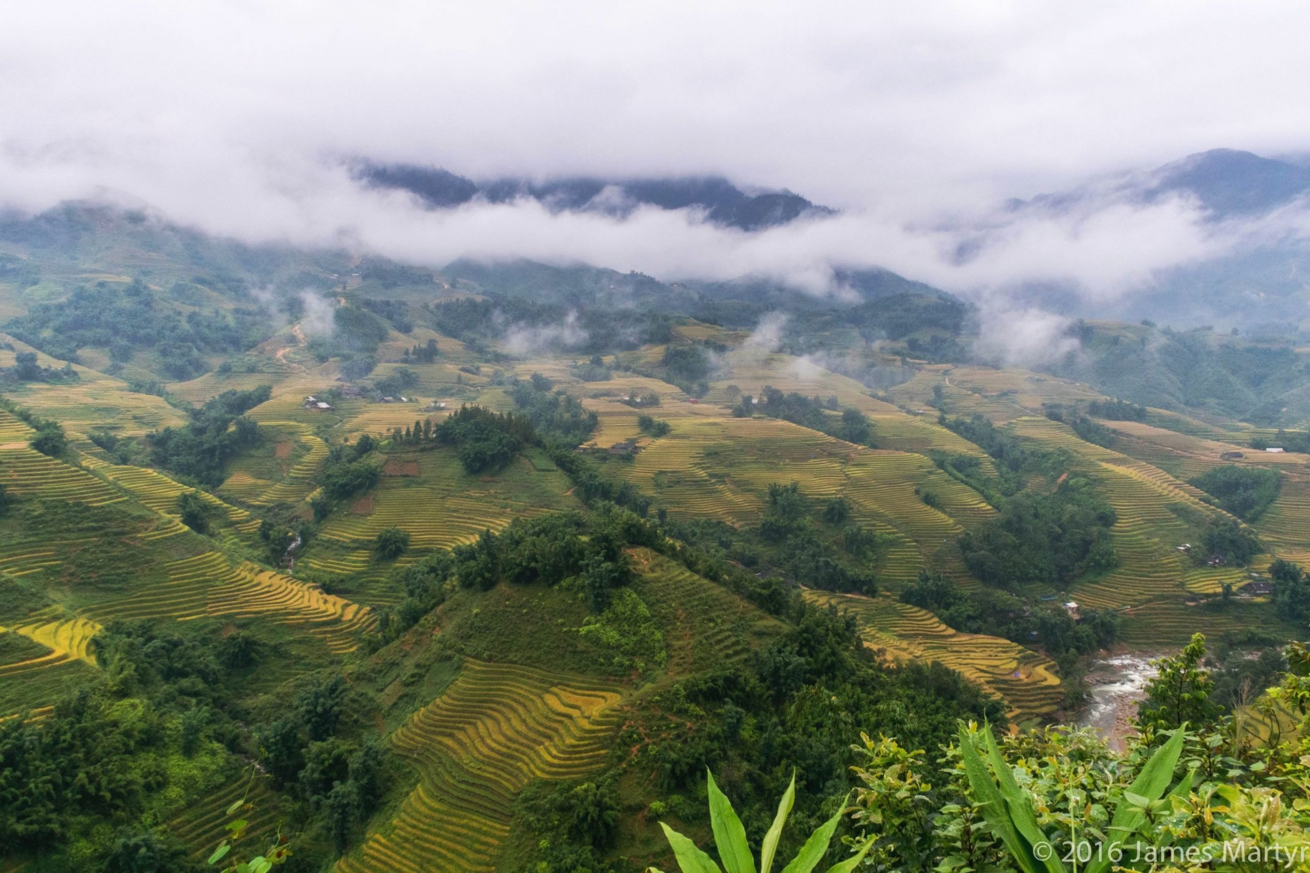 Sapa Terraced Rice Fields in Vietnam | Best Time To Visit | Travel Tips