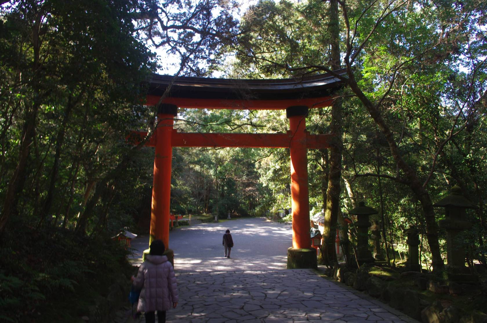 Usa Jingū | Best Time to Visit | Getting There